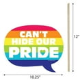 Big Dot of Happiness Funny Love is Love - Pride - Rainbow Party Photo ...