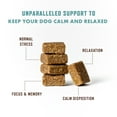 Rocco & Roxie Calming Health Supplement Soft Chews for Dogs, Duck ...