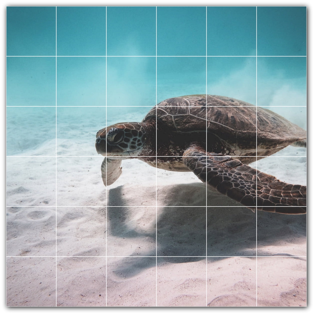 Picture-Tiles.com: Turtle Ceramic Tile Wall Mural WAL501072-66XL. 72"W ...