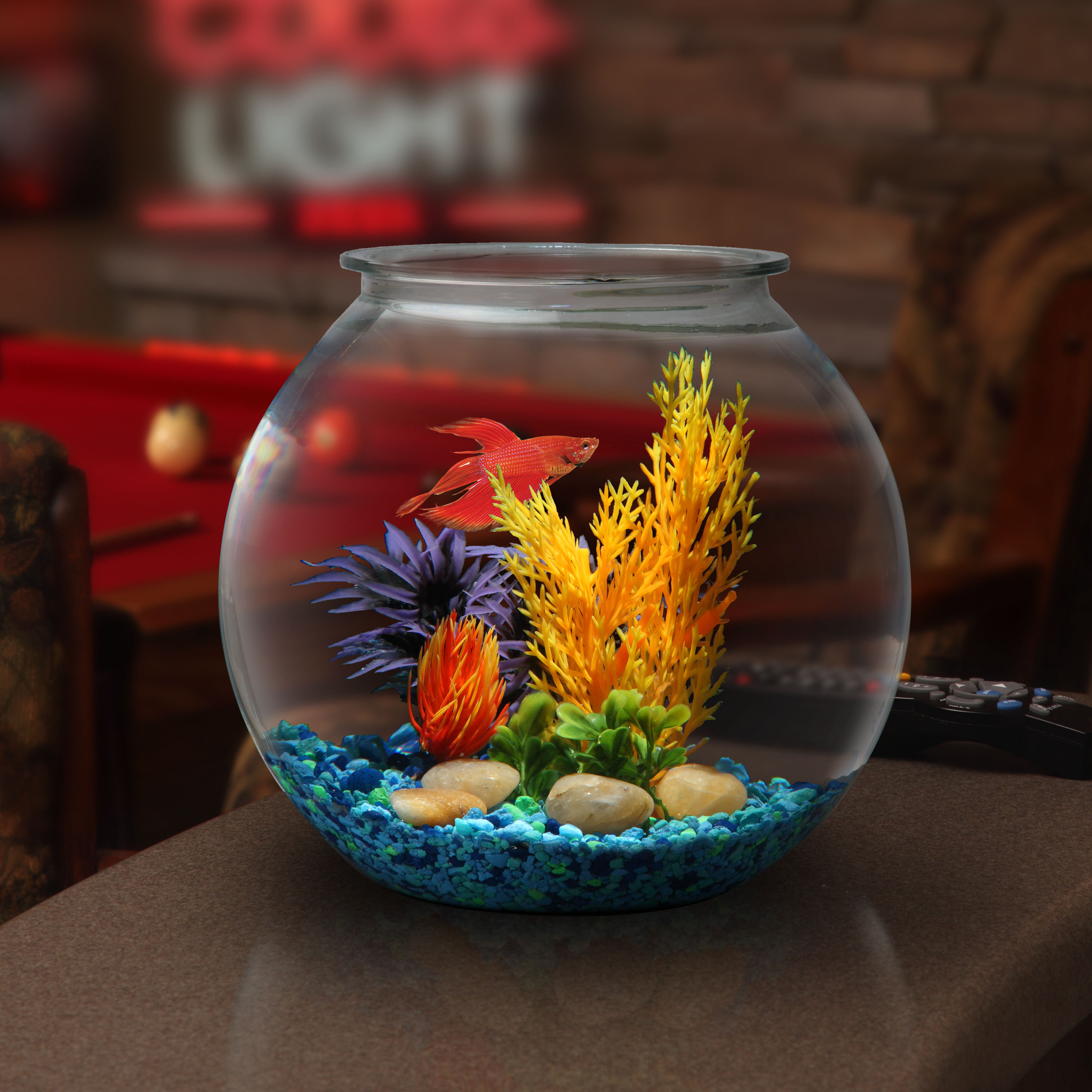 Fish Bowl Fish Bowl
