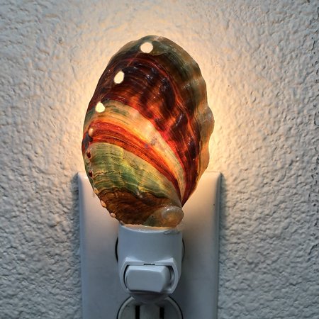 SAYDY Murex Ramosus Sea Shell Night Light Nautical Natural Seashell ...
