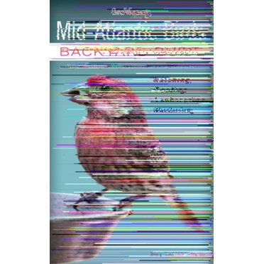 Bird Watcher's Digest Backyard Guide: Southern Birds: Backyard Guide ...