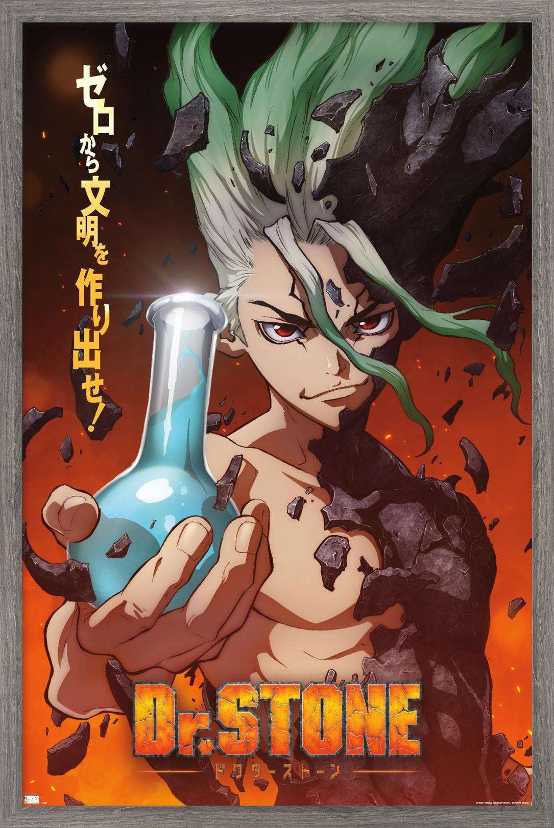 Dr. Stone - One Sheet Wall Poster, 14.725" x 22.375", Framed - Walmart.com