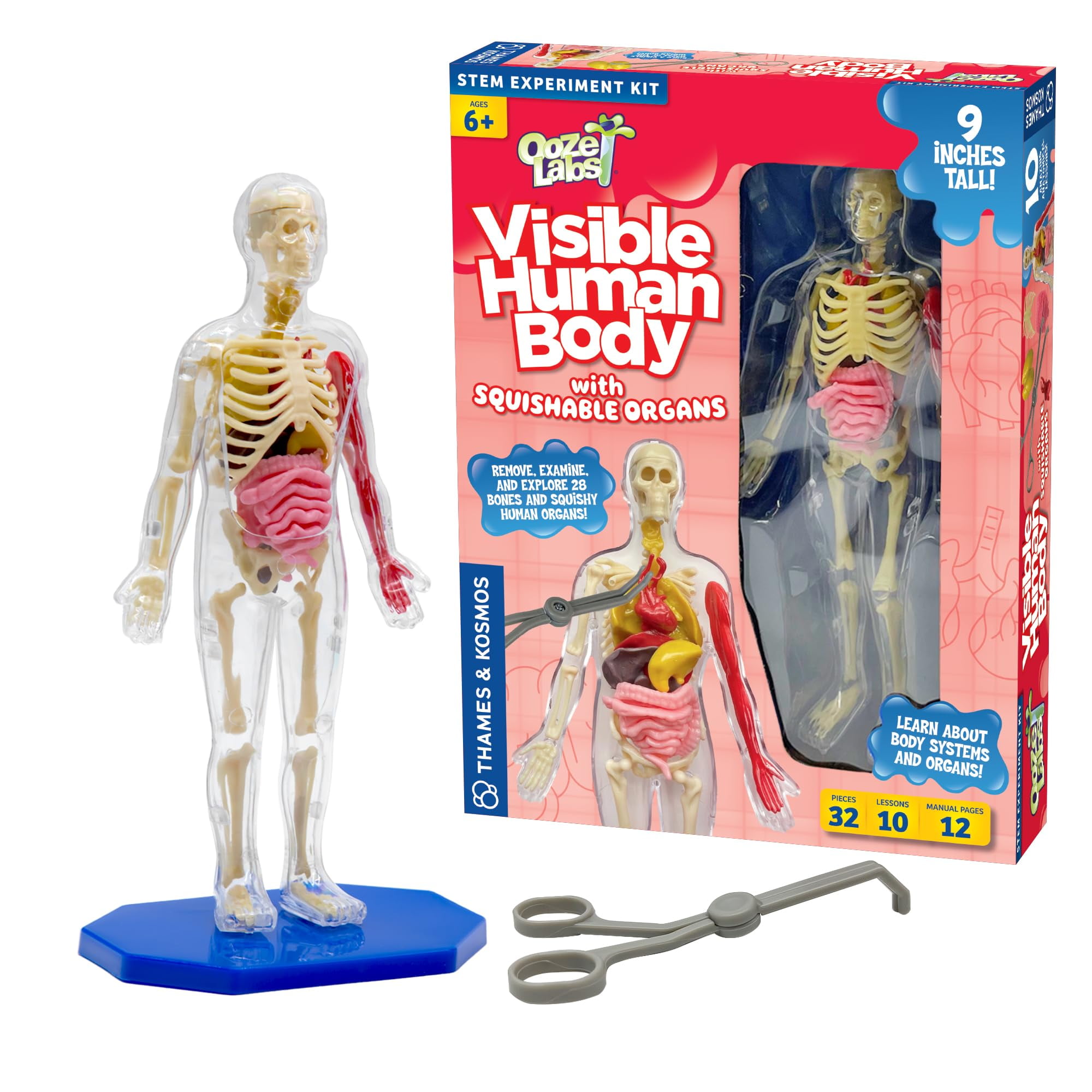 Click here for Thames & Kosmos Ooze Labs: Visible Human Body With... prices