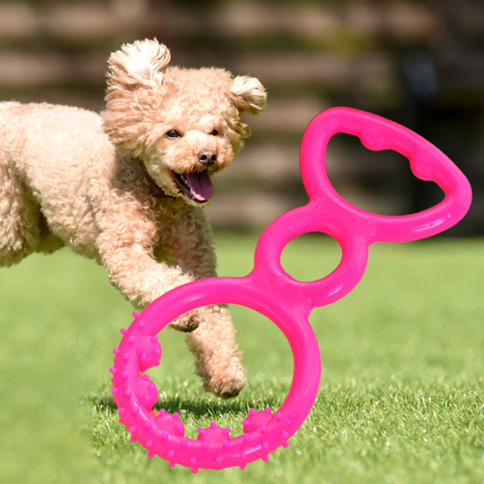 Opolski Pets Plastic Ring-pull Toy Bite Resistant Interactive Dog ...