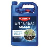Spruce 64-fl oz Ready to Use Weed and Grass Killer - Walmart.com