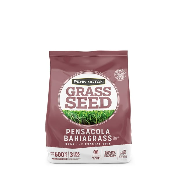 Pennington Pensacola Bahiagrass Grass Seed, for Full Sun, 3 lb ...