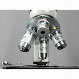 AmScope M600 Compound Monocular Microscope, WF10x Eyepiece, 40x-1000x ...