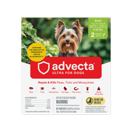 Virbac Knockout Area Treatment Spray Kills Fleas Ticks 14 oz. - Walmart.com