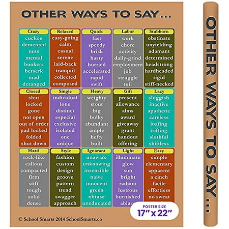 17” x 22” School Smarts Laminated Synonyms Wall Poster for Elementary ...
