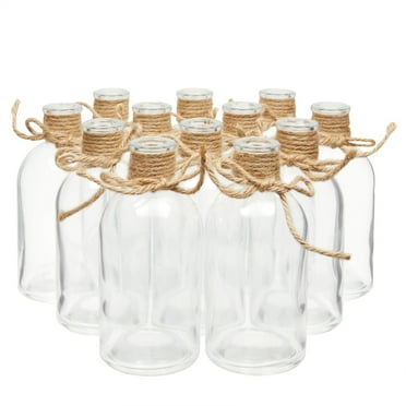 Glasseam Clear Bud Vases, Modern Round Small Glass Cylinder, Set of 6 ...