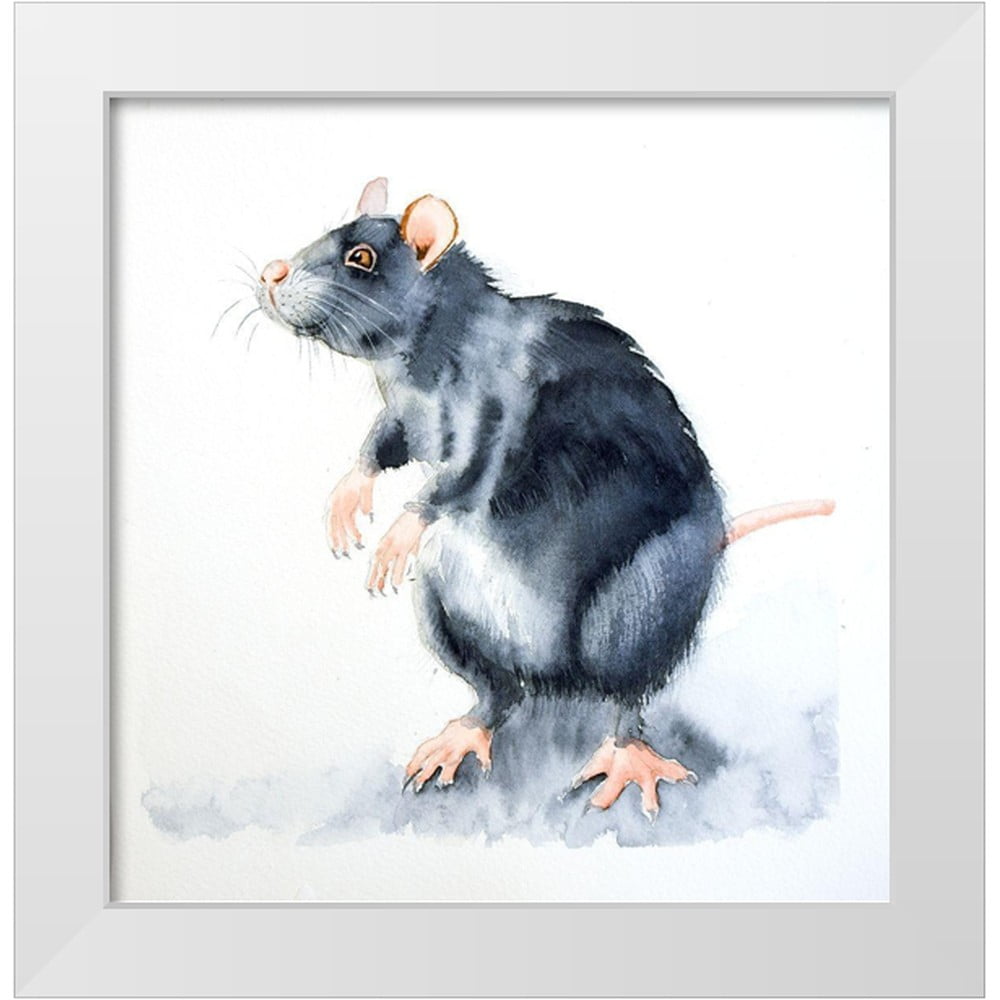 Shefranov, Olga 15x15 White Modern Wood Framed Museum Art Print Titled ...