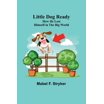Finding Gobi: A Little Dog with a Very Big Heart, (Paperback) - Walmart.com
