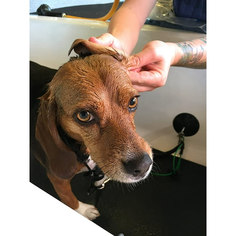 South Bark Blueberry Facial Shampoo