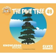 Because of an Acorn (Hardcover) - Walmart.com