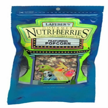 Lafeber Company Avi?Cakes Parrot Treat, 12-Oz - Walmart.com