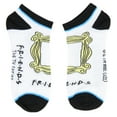 Officially Licensed Friends TV Show Mix and Match Ankle Socks 5 Pack ...