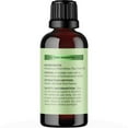 Pure Australian Tea Tree Essential Oil for Hair, Skin, Nails & Foot ...