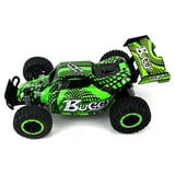 Cheetah King Remote Control RC Buggy Car 2.4 GHz PRO System 1:16 Scale ...