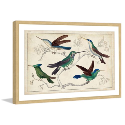 "Hummingbirds" Framed Painting Print - Walmart.com - Walmart.com