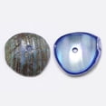 50g Dyed Natural Spiral Shell Chips Beads Shell Shards Royal Blue 10 ...