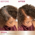 Garnier Color Sensation Color Retouch Permanent Hair Color for Adults ...