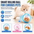 2027 New Self-Rolling Interactive Cat Ball, Realistic Animal Automatic ...