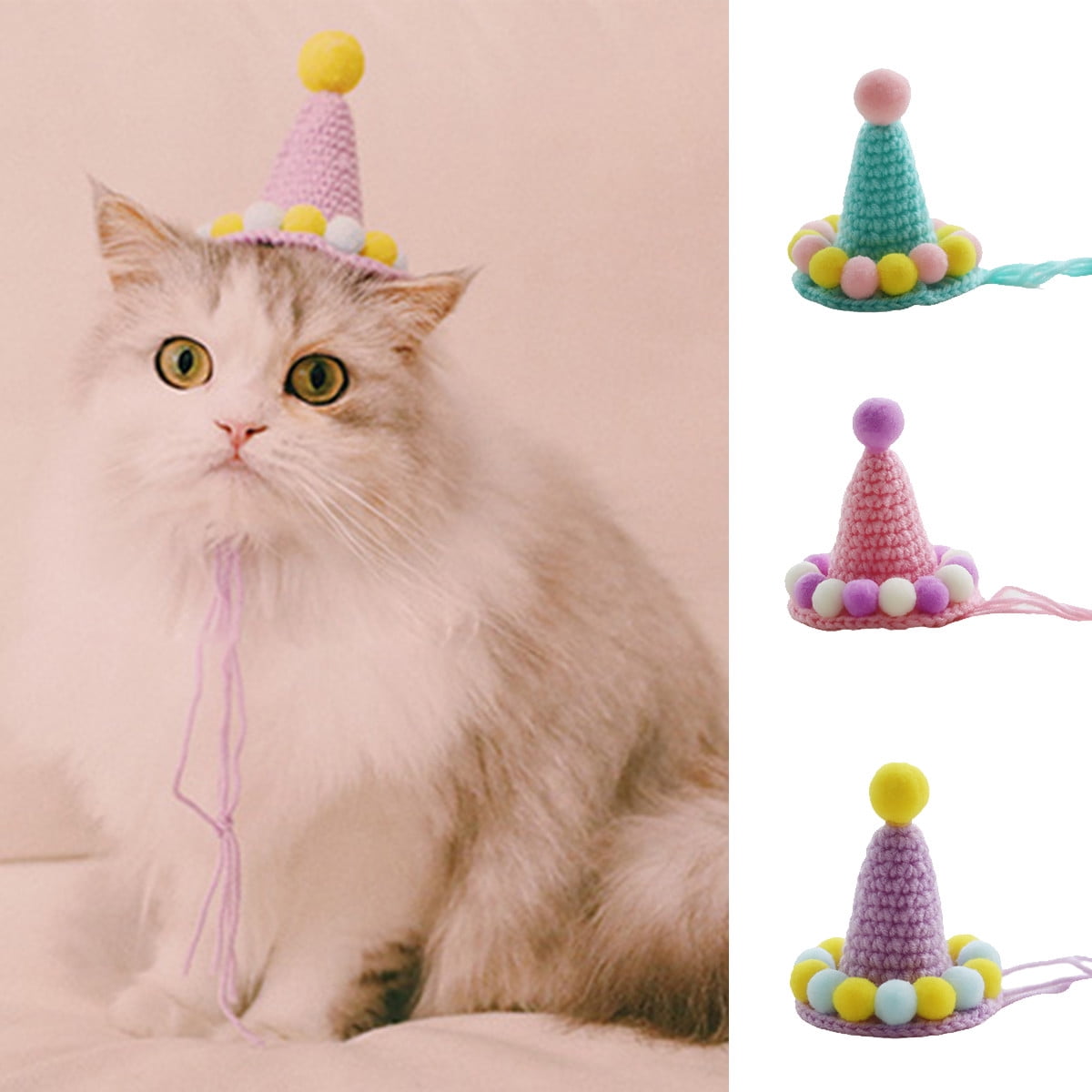 Kittens In Birthday Hats
