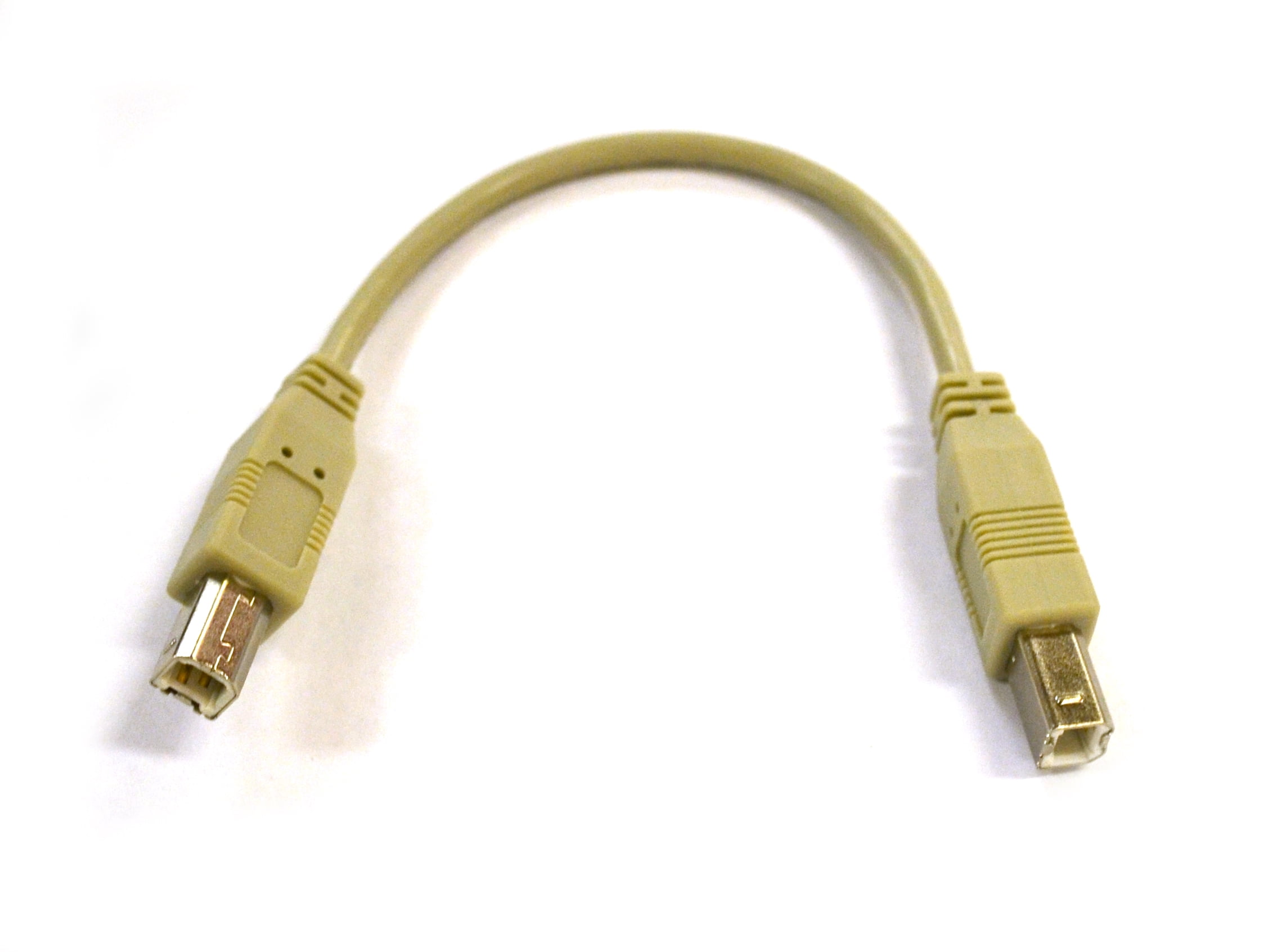 Eisco Labs USB 2.0 Cable - Type B Male to Type B Male - Converter Cable ...
