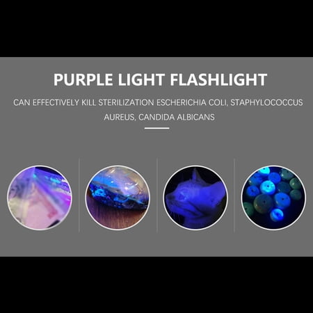 UV Flashlight Powerful High Power Camping Torch Detector Alloy ...