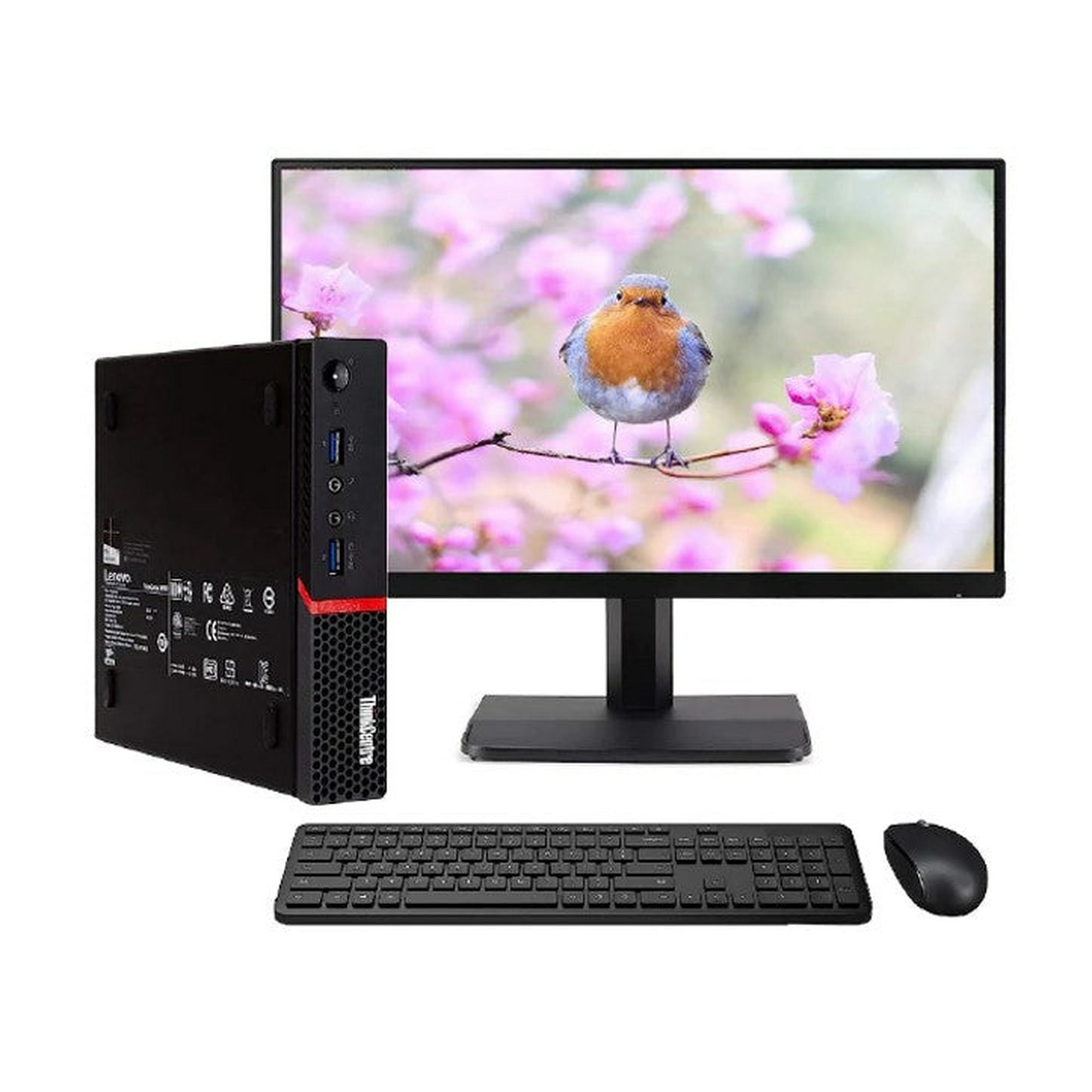 Kit Monitor + Mini Pc Lenovo M710Q I5-6Ta 8Gb 256Gb Ssd Tecl | Knasta Chile