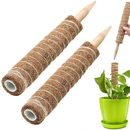TILIYHELLO 2Pcs Coir Climbing Plant Stake 30cm, Coir Stick Plant Stake ...