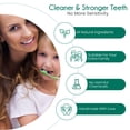 BeNat All Natural Tooth Powder Efficient Teeth Cleaning & Whitening ...
