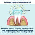 LIVFRESH Dental Gel, Removes Plaque 250% Better, Mild Peppermint Flavor ...