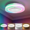 RJFKSN Ceiling Fan with Lights Flush Mount, 20" Low Profile Caged ...