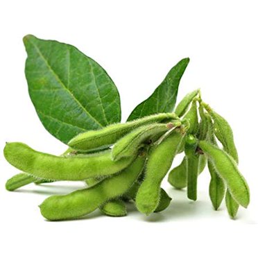 BeSweet 2001 Edamame Bean Seeds - 20 g Seed Packet - Non-GMO, Heirloom ...