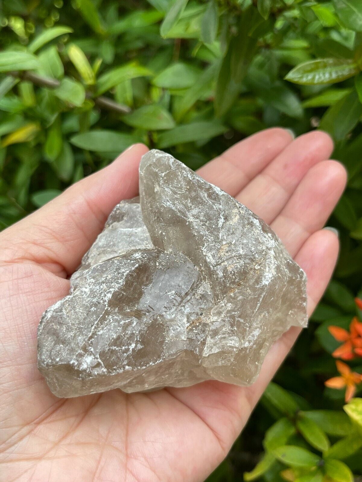 Raw Smoky Quartz