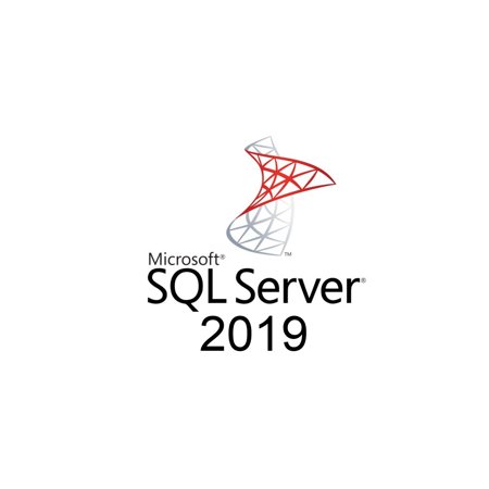 Microsoft SQL Server 2019 - Licence - 5 user CALs - Win - for ...