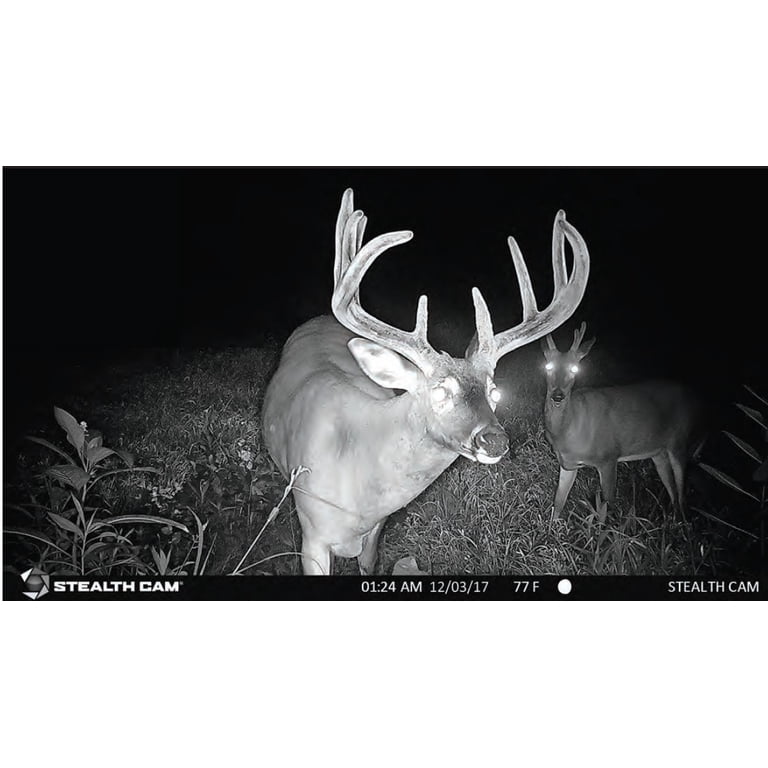 Water Resistant Vest Stealth Cam XV4 22MP Game Camera - Infrared Night ...