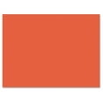 Riverside Construction Paper, Orange, 1 Pack (50 Sheets) - Walmart.com