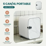 CONCETTA Portable Mini Fridge, 110V AC/ 12V DC Compact Small ...