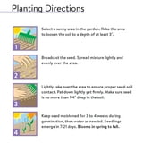 Burpee Perennial Wildflower Seeds Mix Attracts Pollinators 50,000 Seeds ...