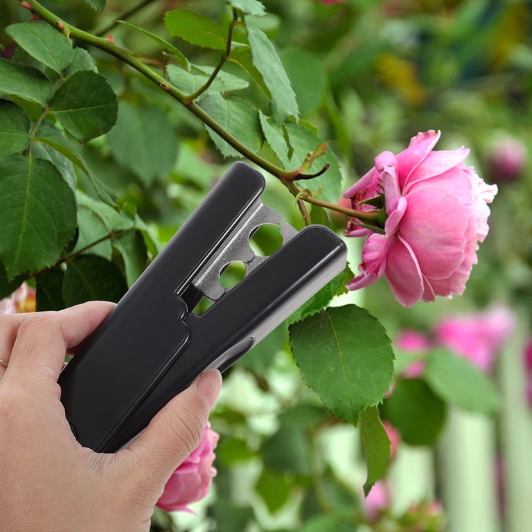 COMPUKAS 2Pcs Professional Black Rose Stem Tool for Thorn and Leaf ...