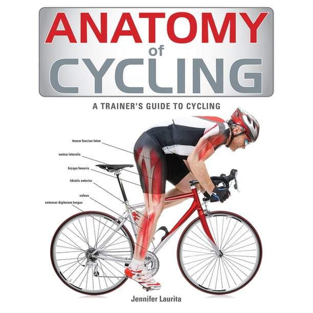 Bike Anatomy