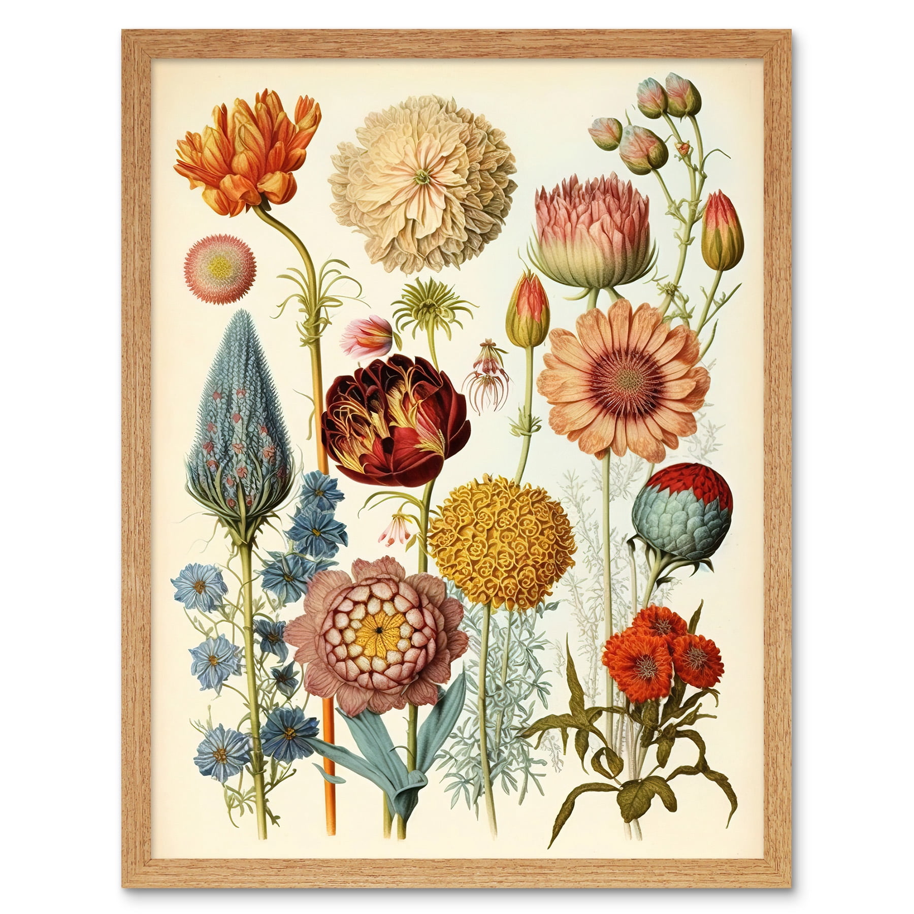 Vintage Botanical Illustration Ernst Haeckel Style Plant Study Modern ...