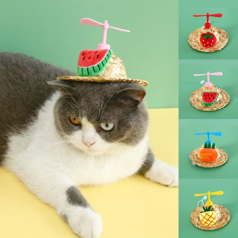 Watermelon Hat Cat