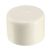 50mm Pipe Cap Fitting, Slip End Caps DWV(Drain Waste Vent) White 2Pcs ...