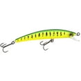 CRYSTAL MINNOW FRESHWATER (F) 110mm 4-3/8" - Walmart.com