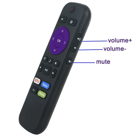 Roku Remote Hisense