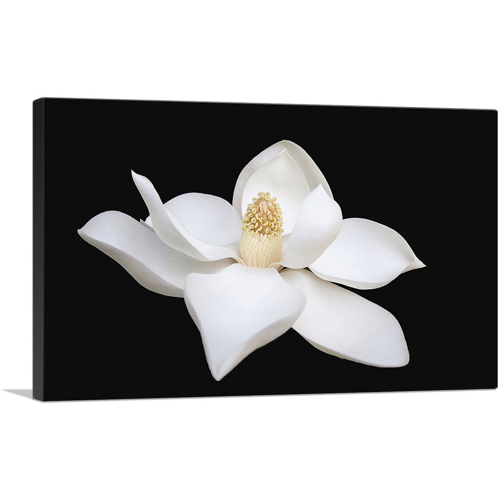 ARTCANVAS Magnolia White Flower Home Decor Rectangle Canvas Art Print ...